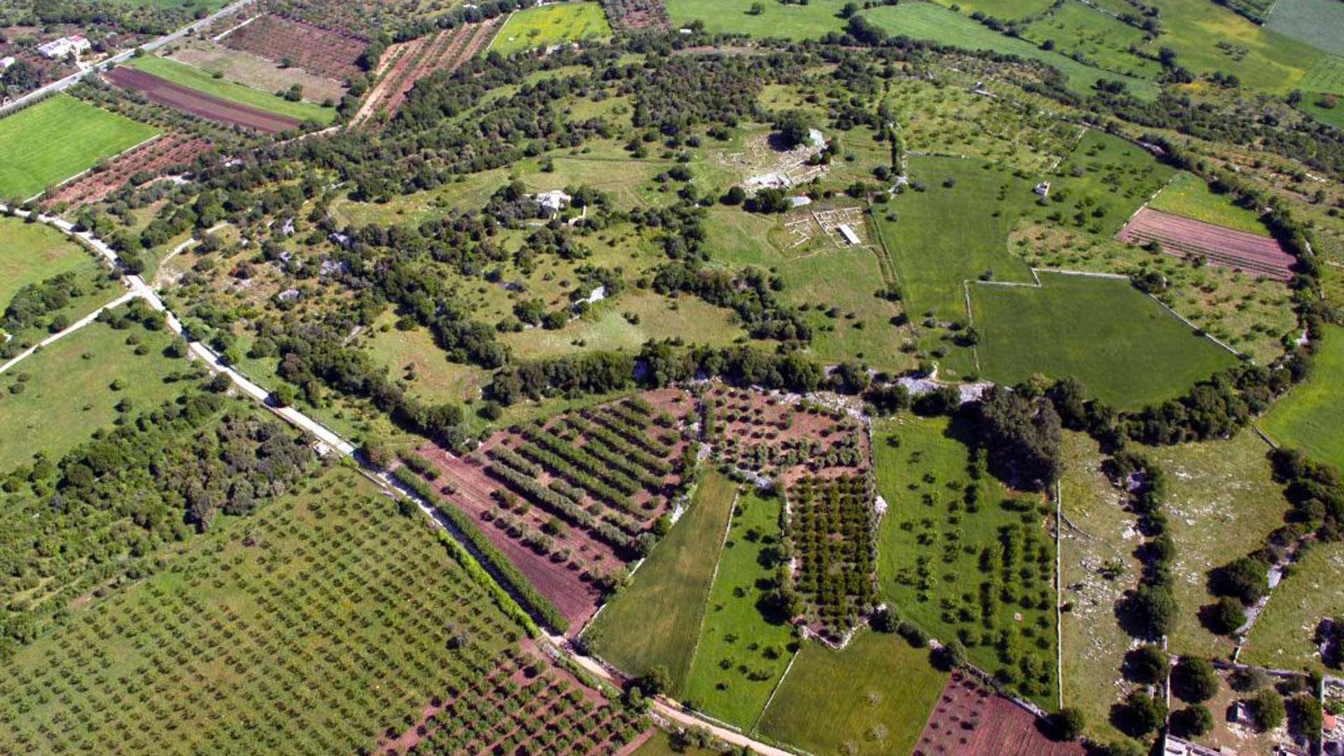 Gioia del Colle (Ba). Al parco archeologico di Monte Sannace l’evento ...